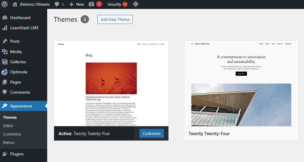 A Guide to the WordPress Request Lifecycle - Jhimross Olinares